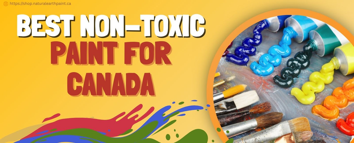 What's the Best Non-Toxic Paint for Canada? (Safe & Stylish for 2025 ...